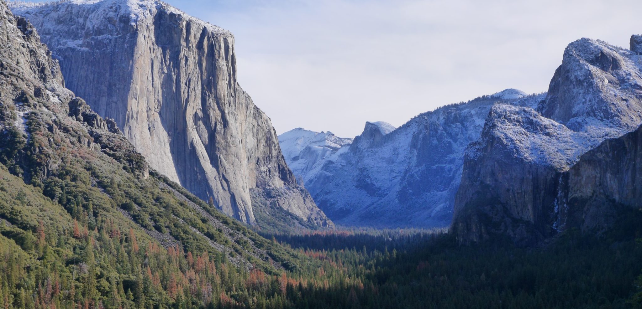 Celebrate Earth Day with PBS KVIE! - PBS KVIE